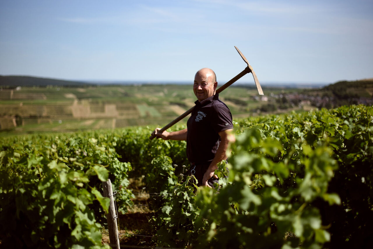 Fournier Père et Fils - Winemaker in Sancerre since 1926