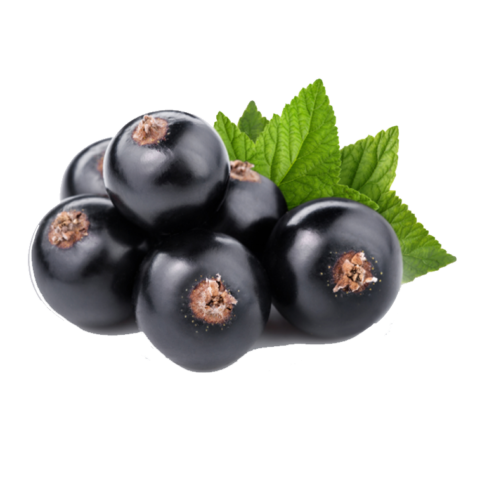 Pinot Noir Rosé - Fournier Père et Fils