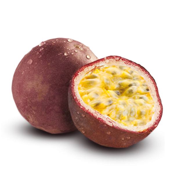 Pinot Noir Rosé - Fournier Père et Fils