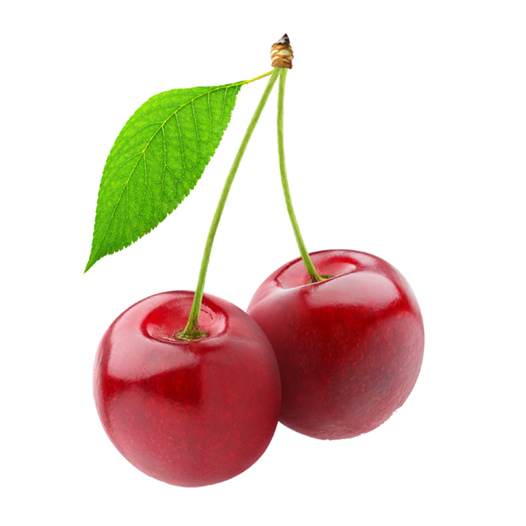 Les Belles Vignes Rosé - Fournier Père et Fils